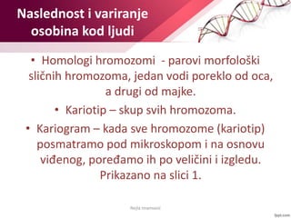 Naslednost i variranje osobina kod ljudi i nasledne bolesti čoveka | PPTX