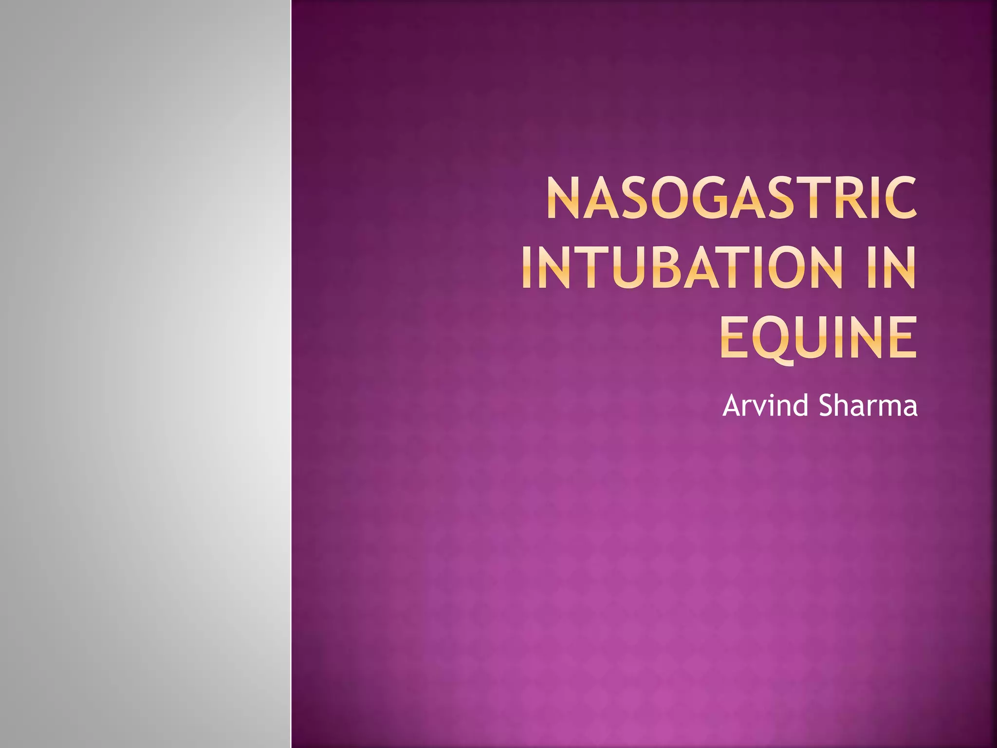 Nasogastric intubation in equine | PPT