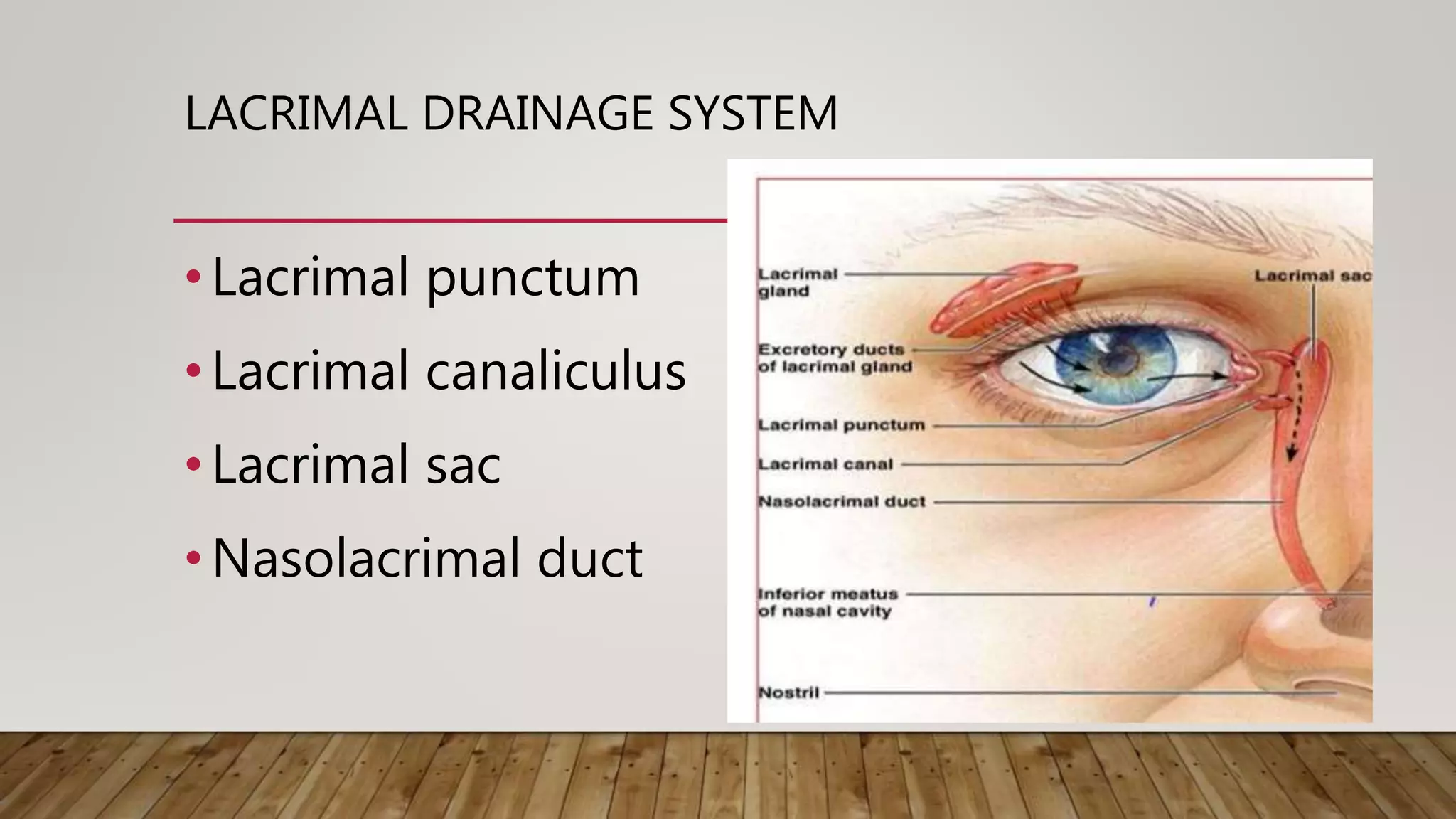 Nasolacrimal duct obstruction | PPTX
