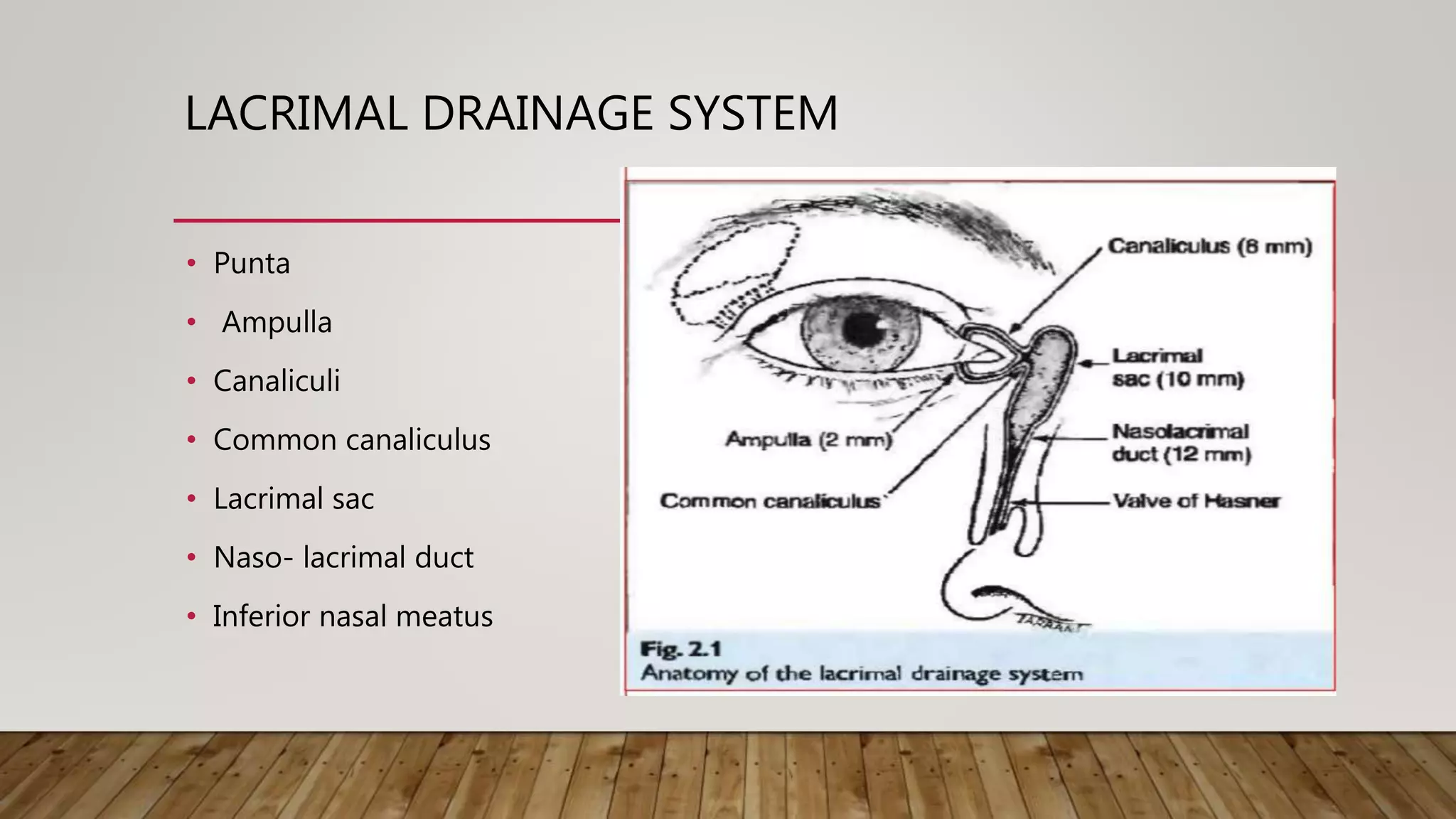 Nasolacrimal duct obstruction | PPTX