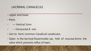 Nasolacrimal duct obstruction | PPTX