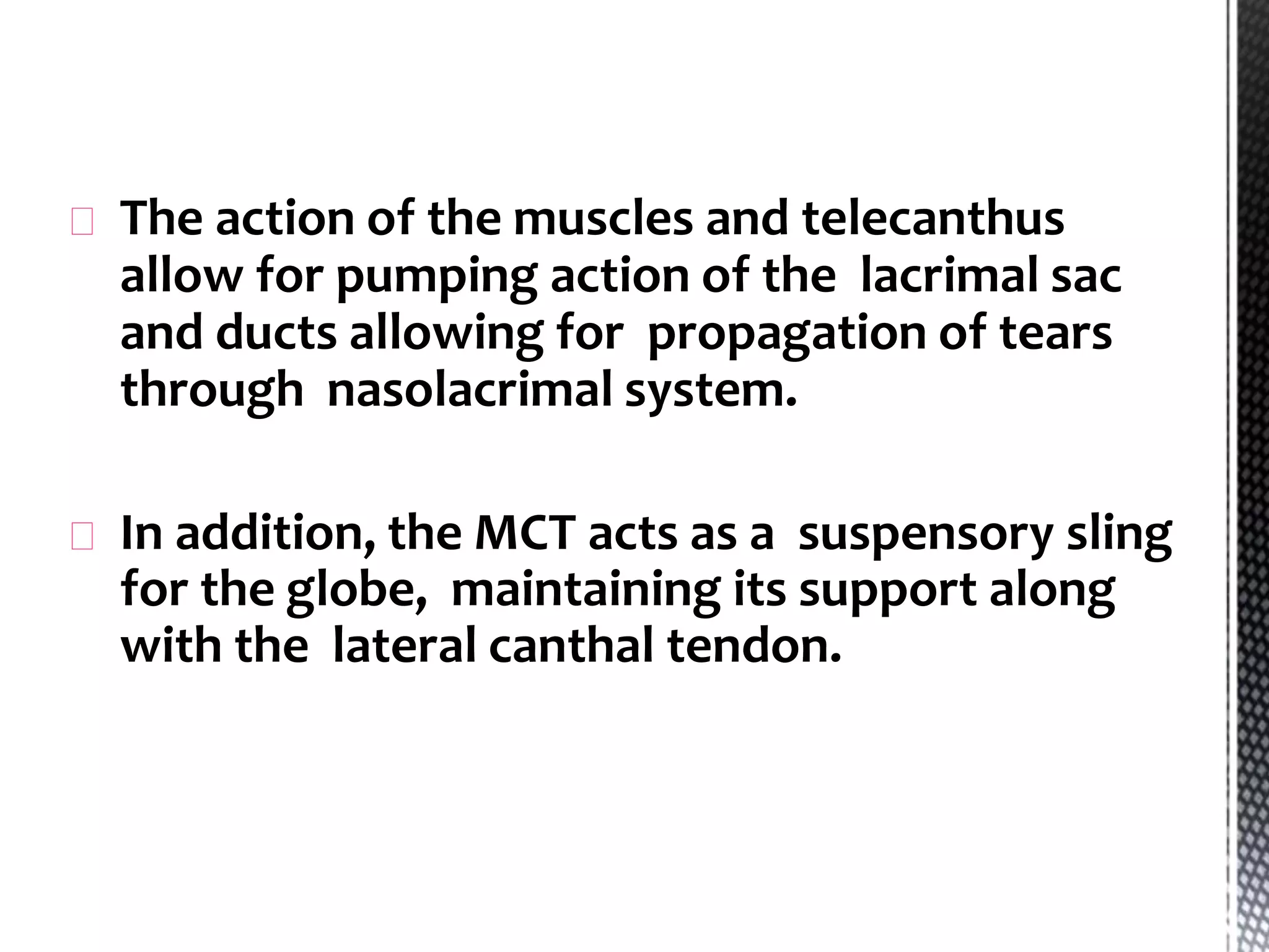 NOE FRACTURE PPT | PPTX