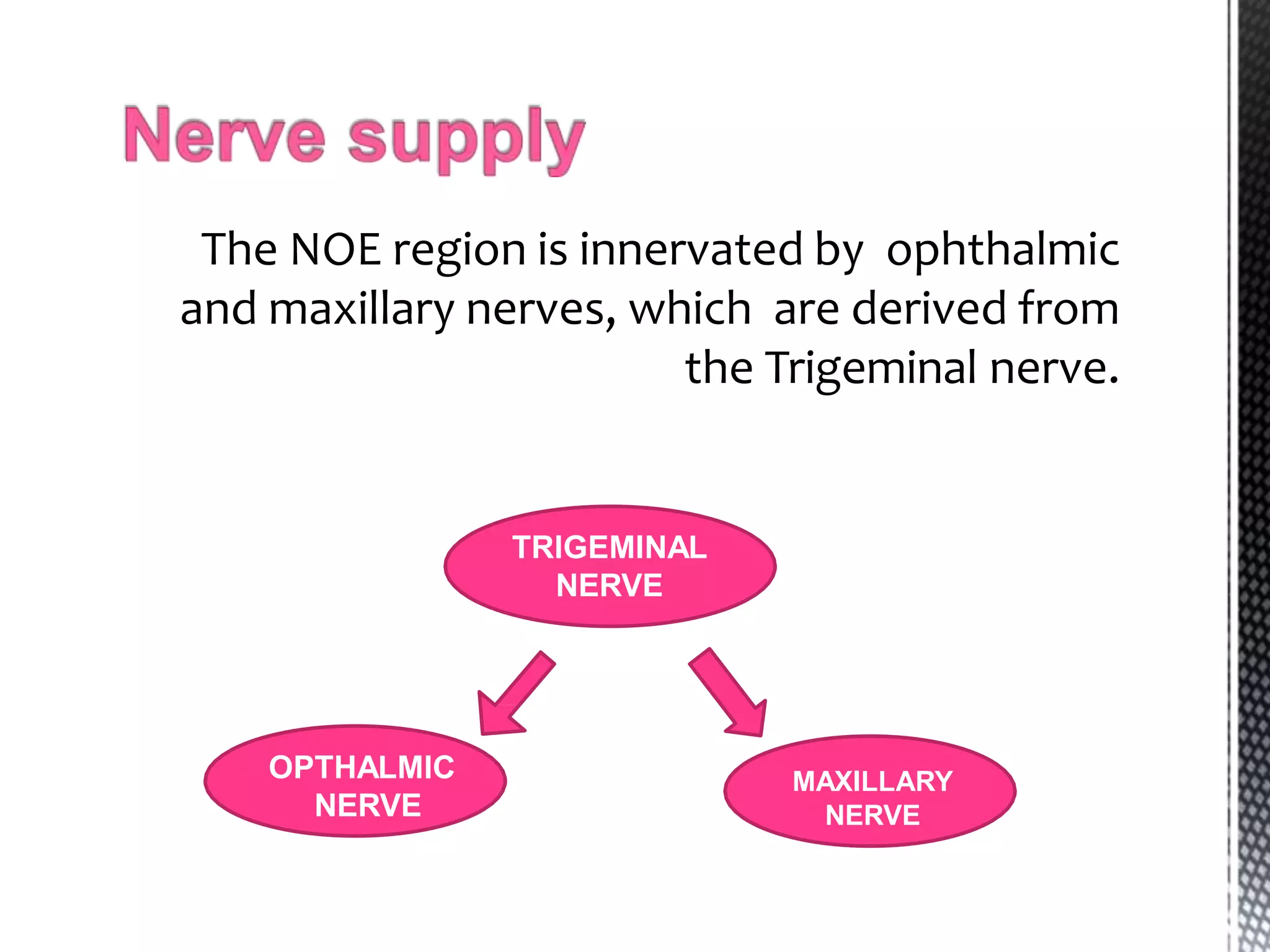 NOE FRACTURE PPT | PPTX