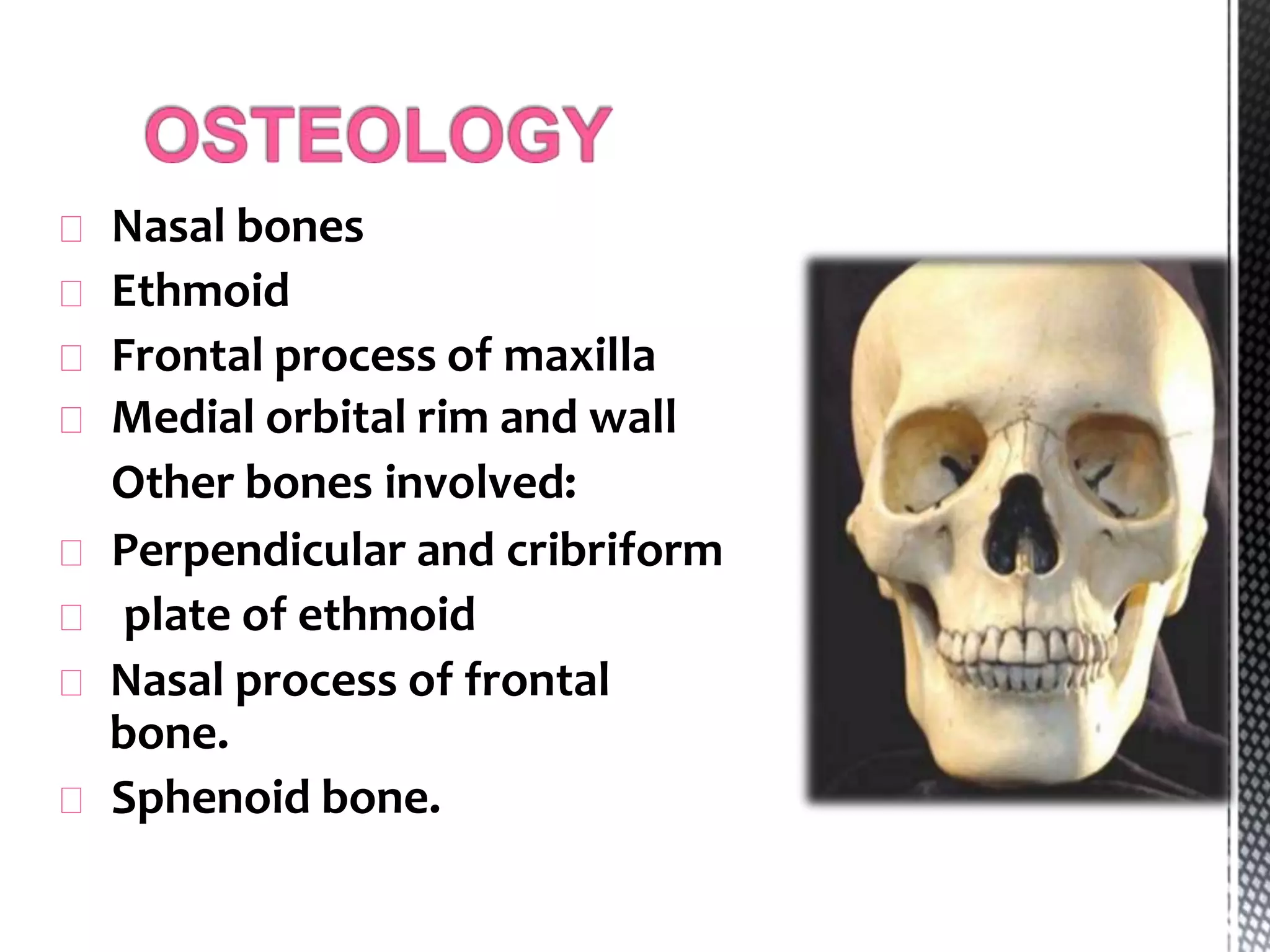 NOE FRACTURE PPT | PPTX