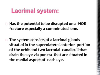 NOE FRACTURE PPT | PPTX