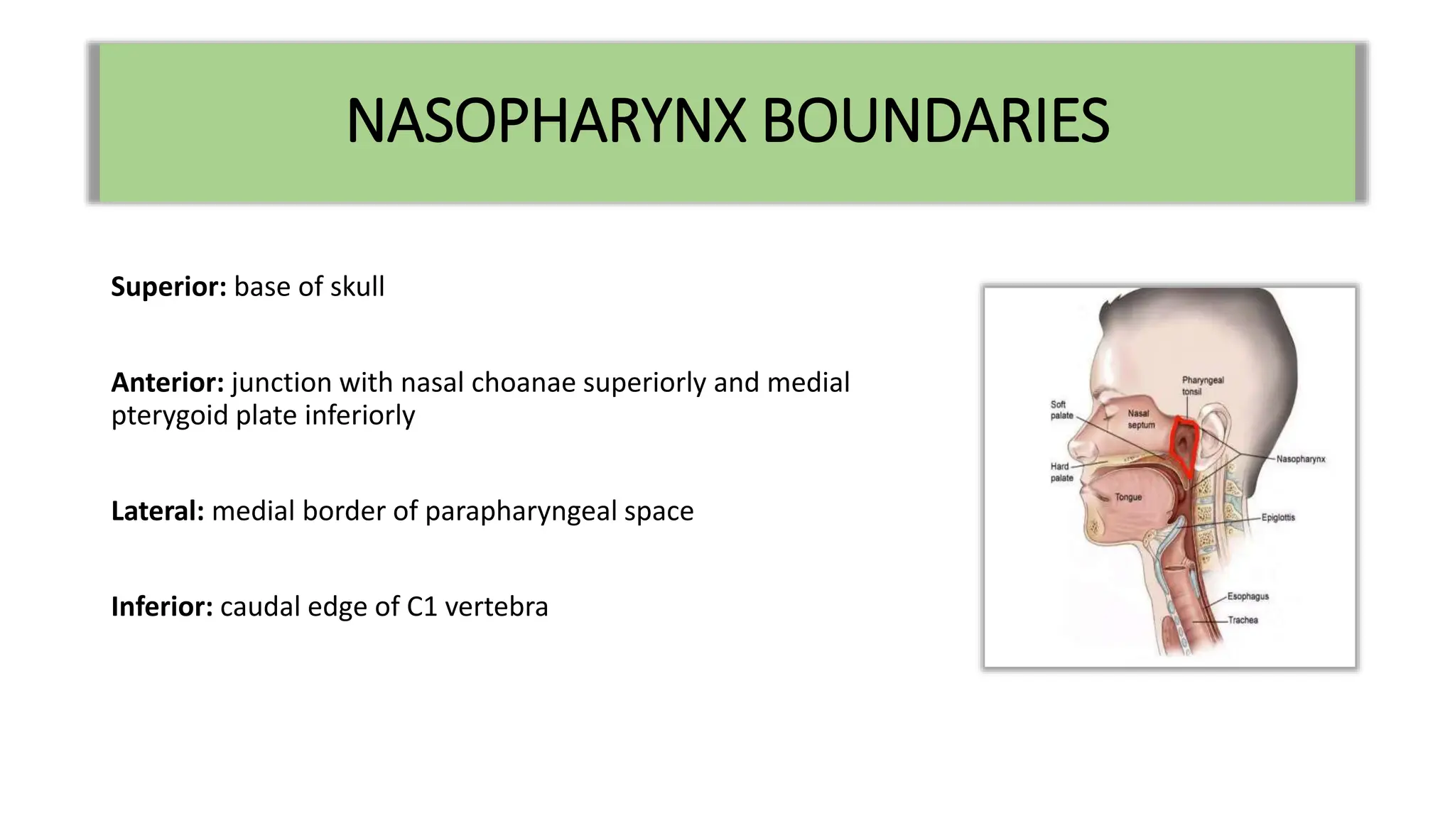 Nasopharyngeal carcinoma management principles | PPTX