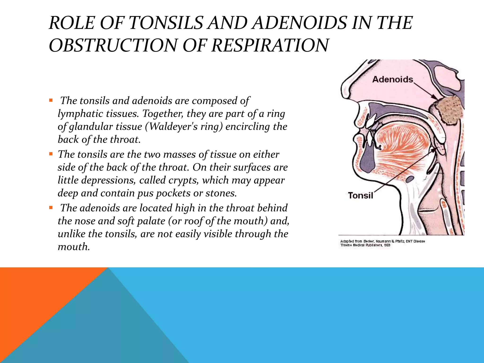NASOPHARYNGEAL SPACE AND ORTHODONTICS.pptx