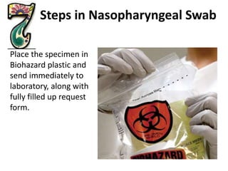 Nasopharyngeal Swab Lecture Health Care Settings | PPTX | Ear, Nose and ...