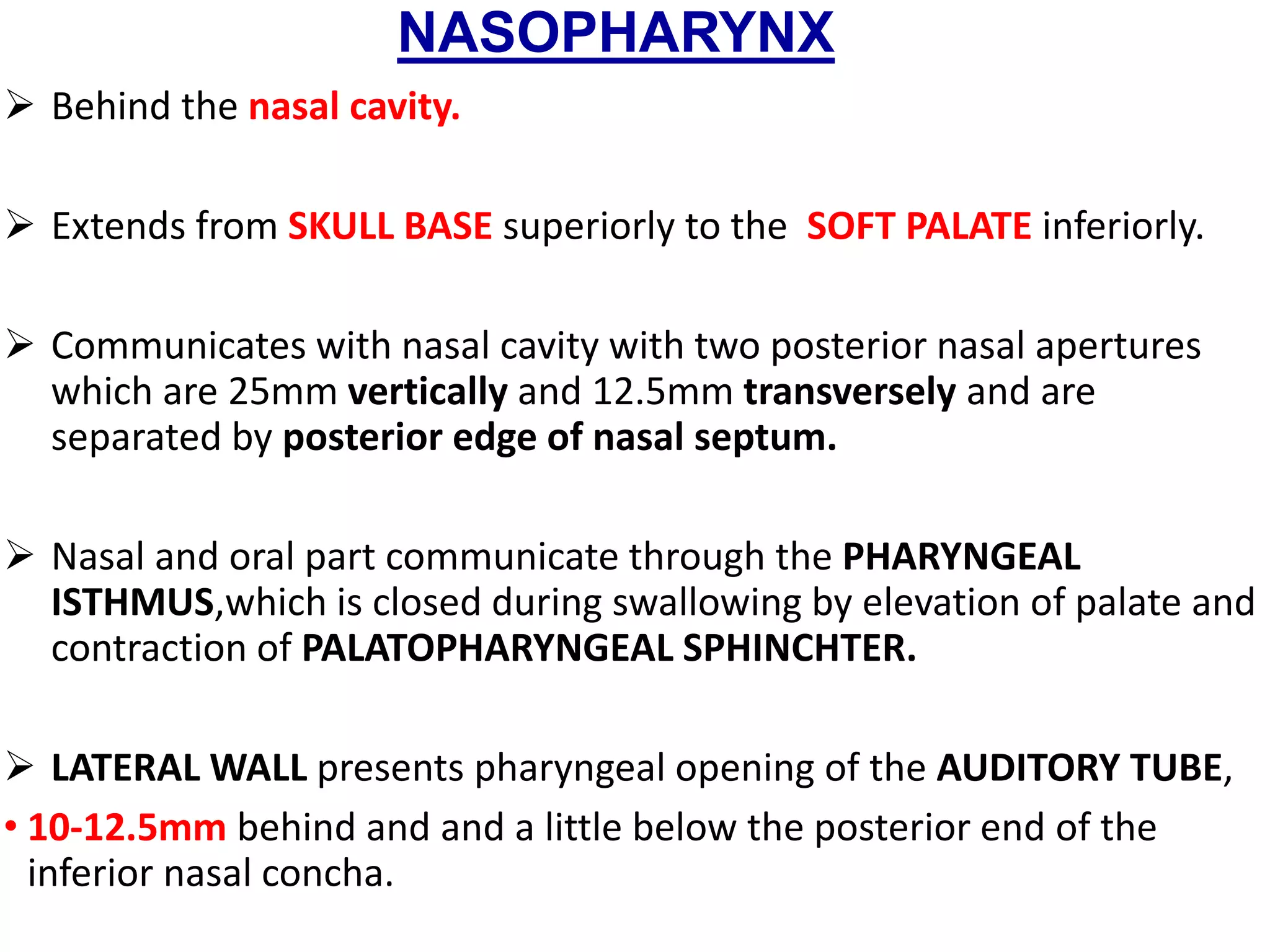 Nasopharynx gross anatomy and applied anatomy in dental and medical ...