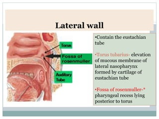 Nasopharyngeal cancer | PPT