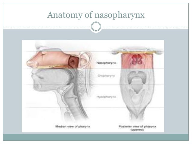 Nasopharyngeal