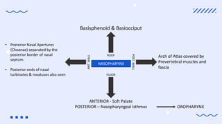 Nasopharynx.pptx