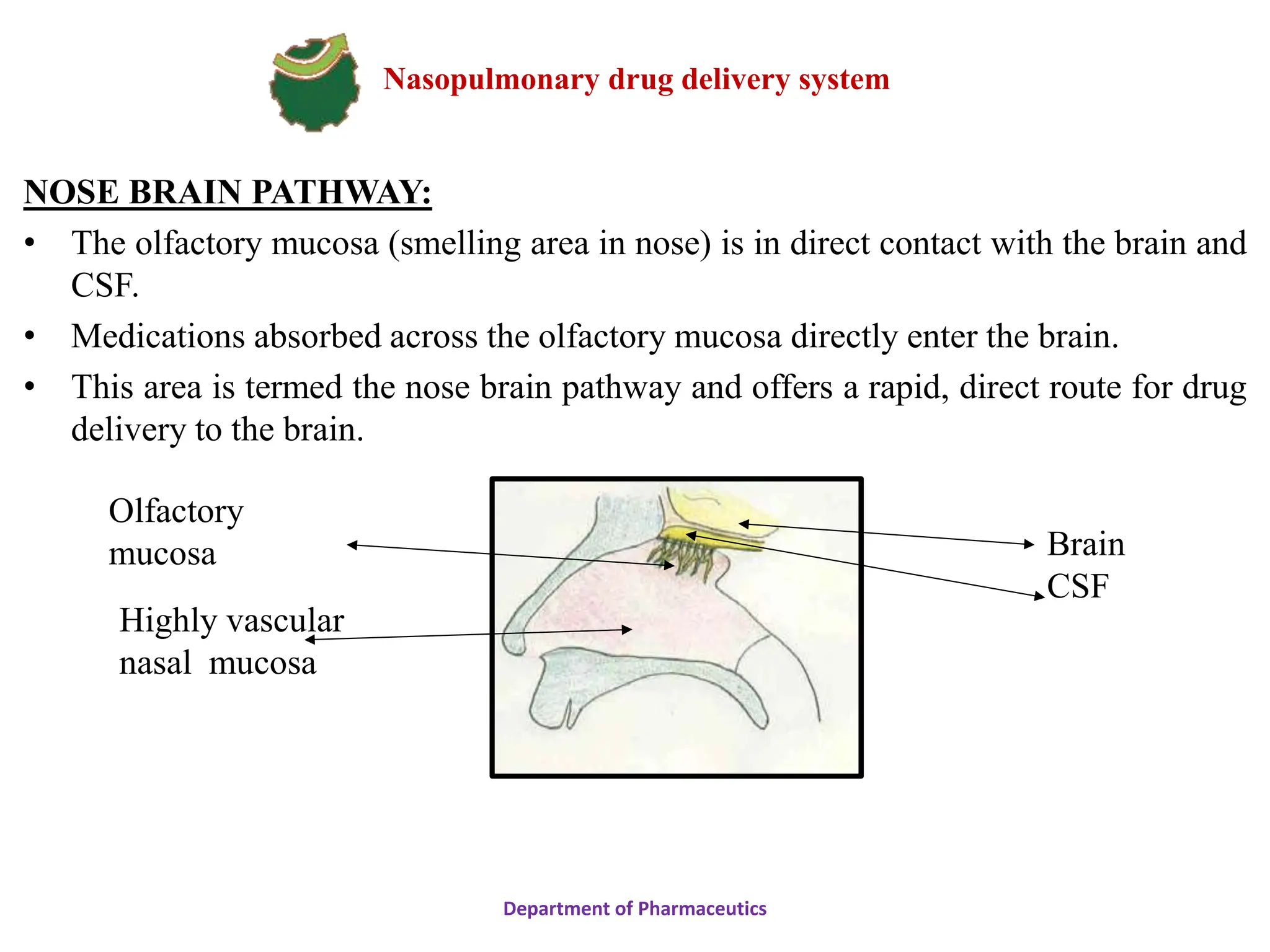 Nasopulmonary- drug delivery system pptx | PPTX