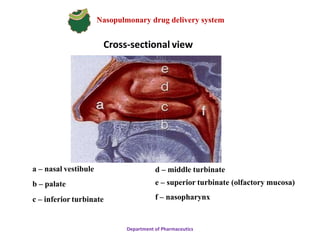Nasopulmonary- drug delivery system pptx | PPTX