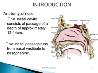 Nasopulmonary dds | PPTX