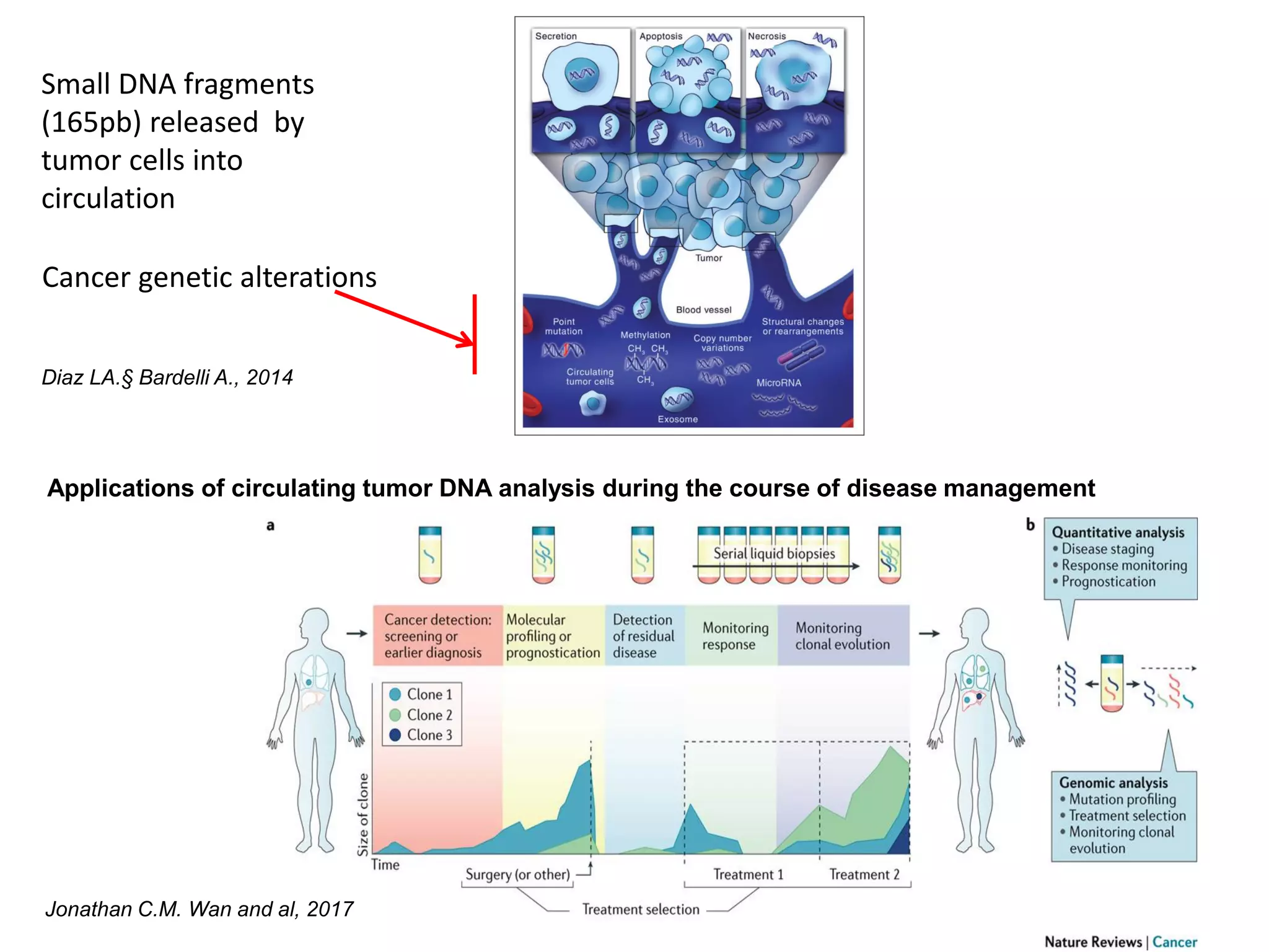 Circulating Tumor DNA Detection from Heparinized Plasma Samples by ...