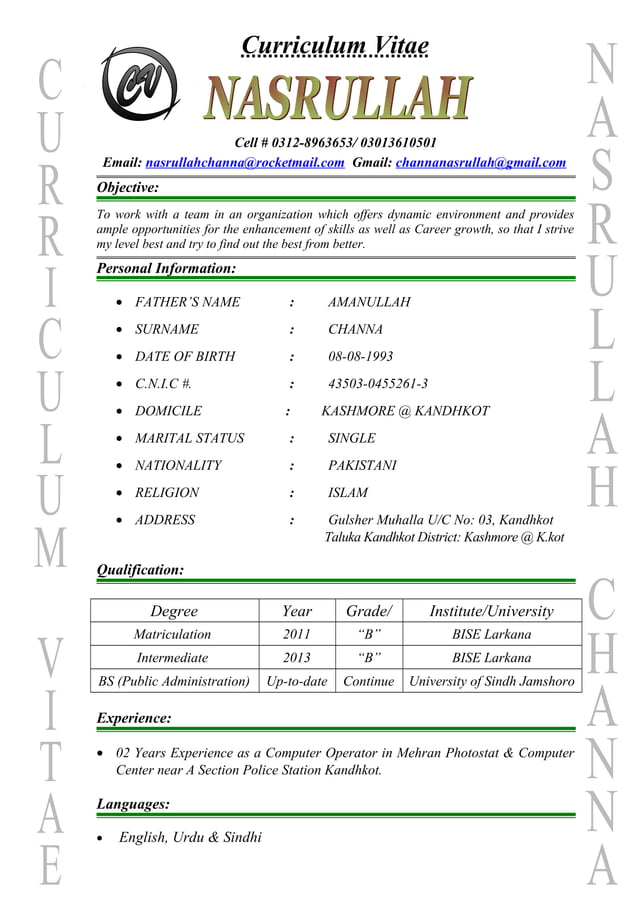 CV Format | PDF