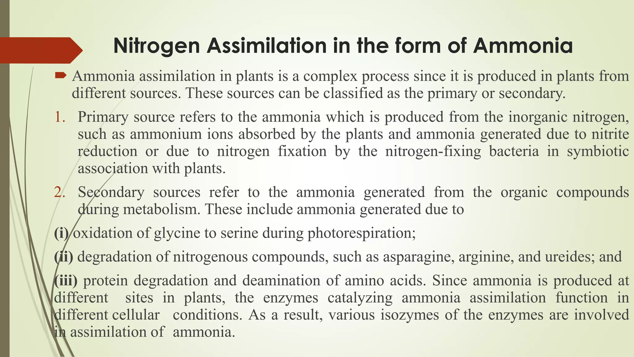 N Assimilation & Importance of Nitrogen for Plants.pdf