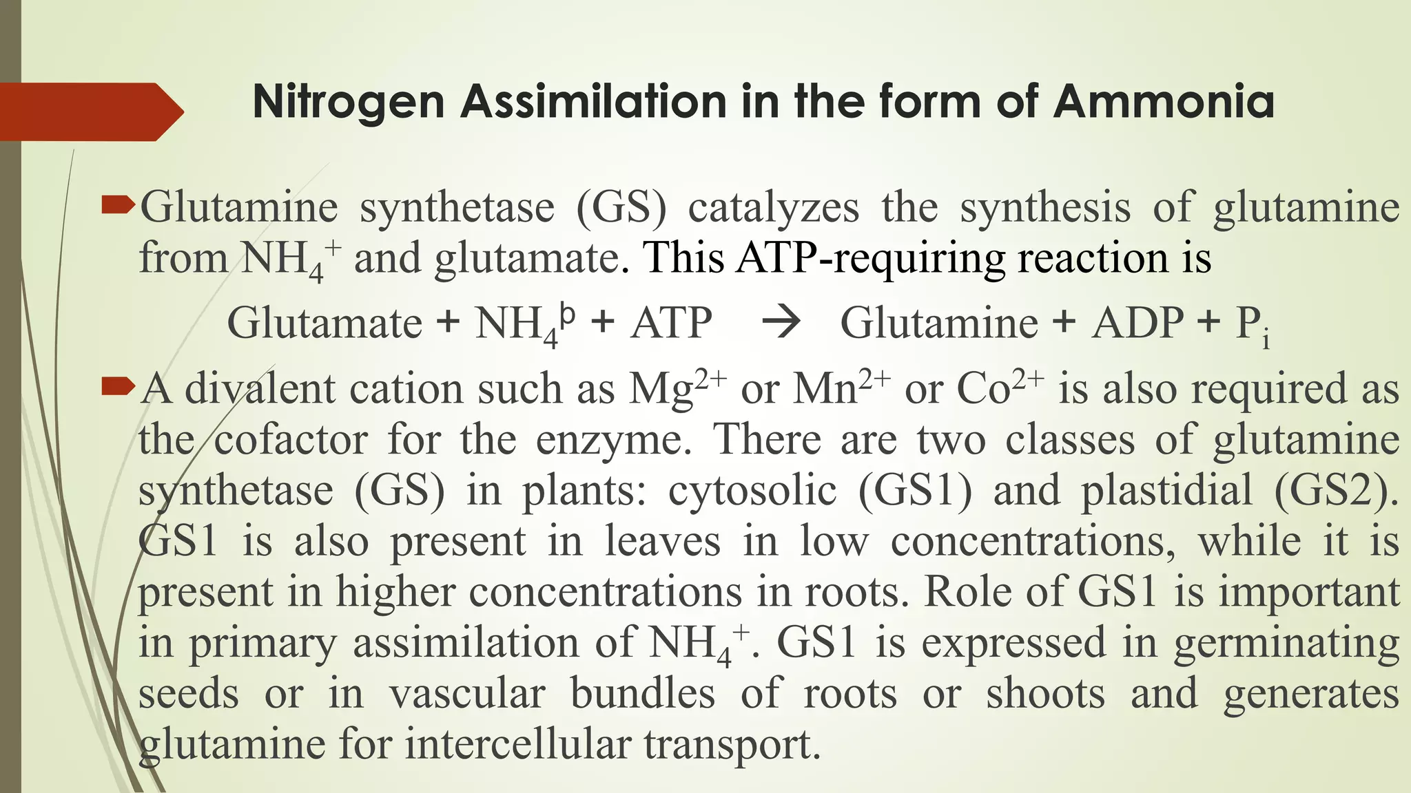 N Assimilation & Importance of Nitrogen for Plants.pdf