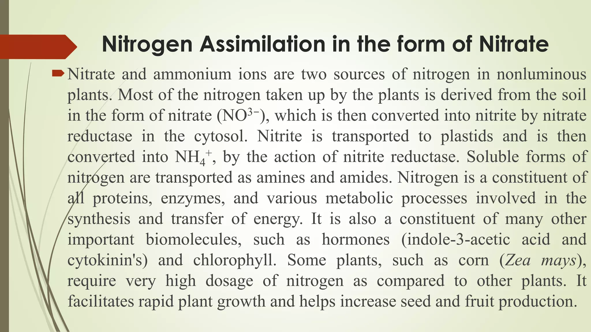N Assimilation & Importance of Nitrogen for Plants.pdf