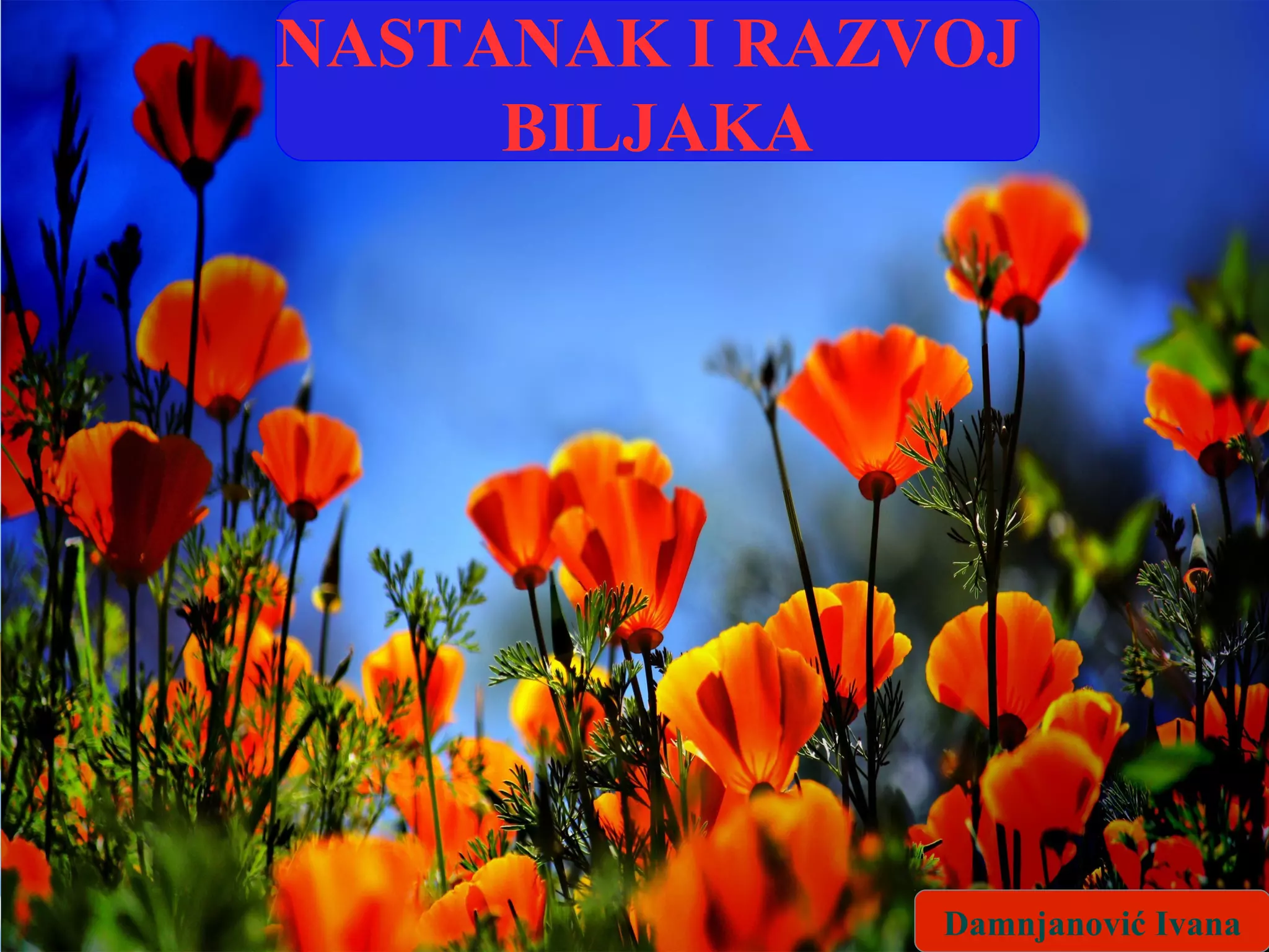 Nastanak i razvoj biljaka | PPT