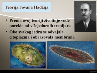 Nastanak, razvoj i raznovrsnost životinja | PPT