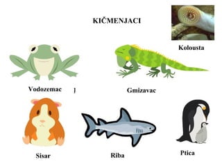 Nastanak, razvoj i raznovrsnost životinja | PPT