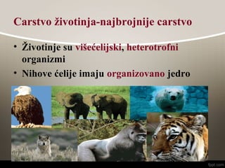 Nastanak, razvoj i raznovrsnost životinja | PPT