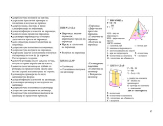 Nastavna programa po matematika za ix odd so inovacii i pretpriemnishtvo | PDF