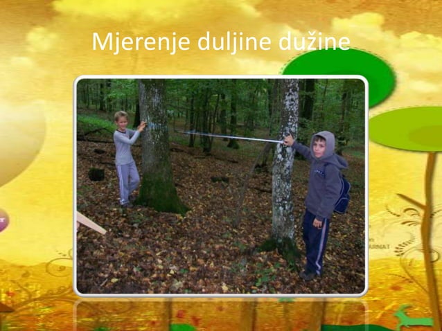 Nastavni sat matematike u šumi | PPT