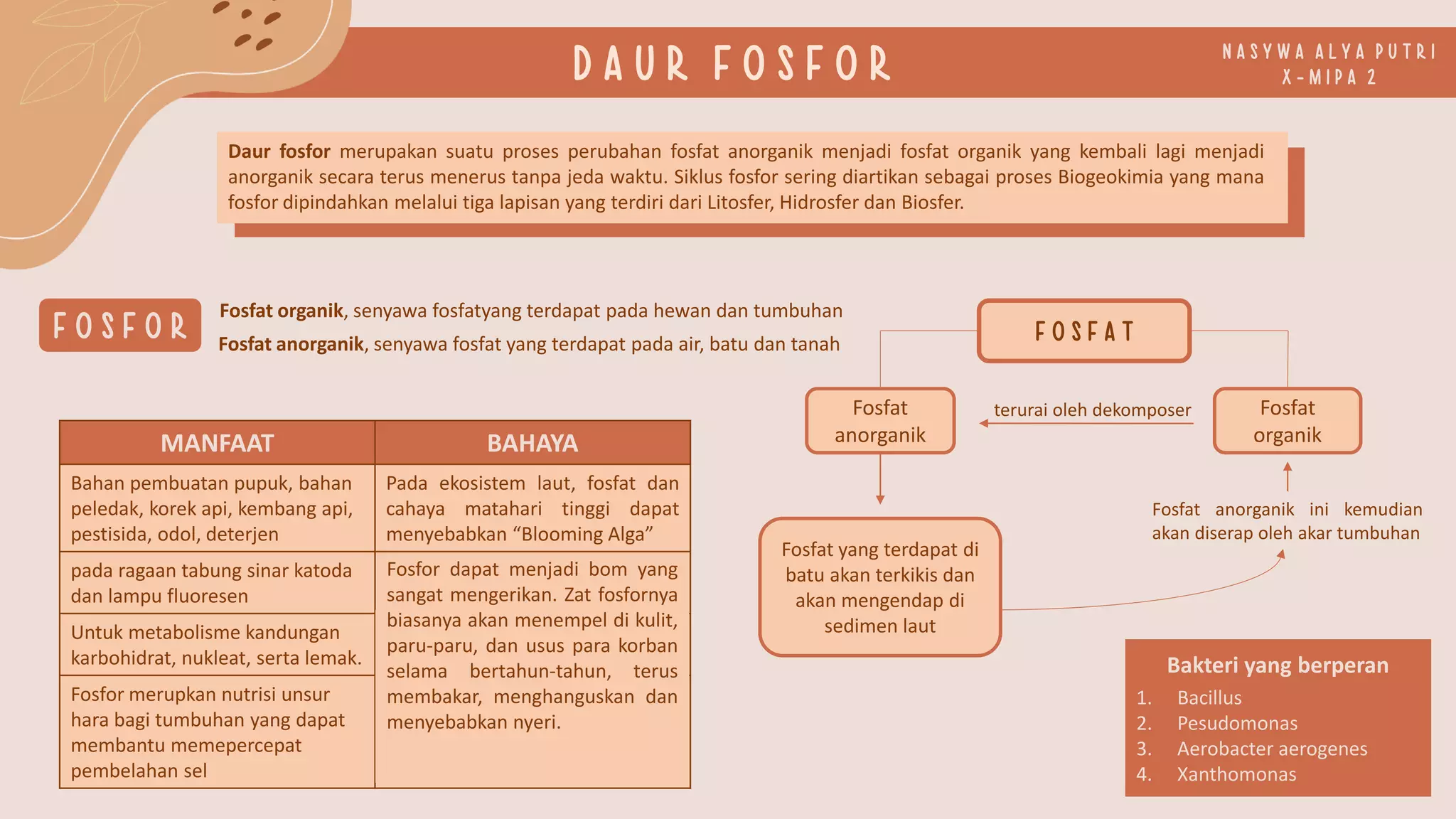 Daur Fosfor | PDF