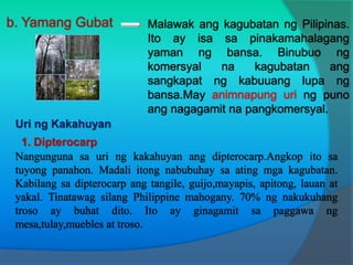 Nat reviewer-n0.-2-likas-na-yaman (1) | PPSX