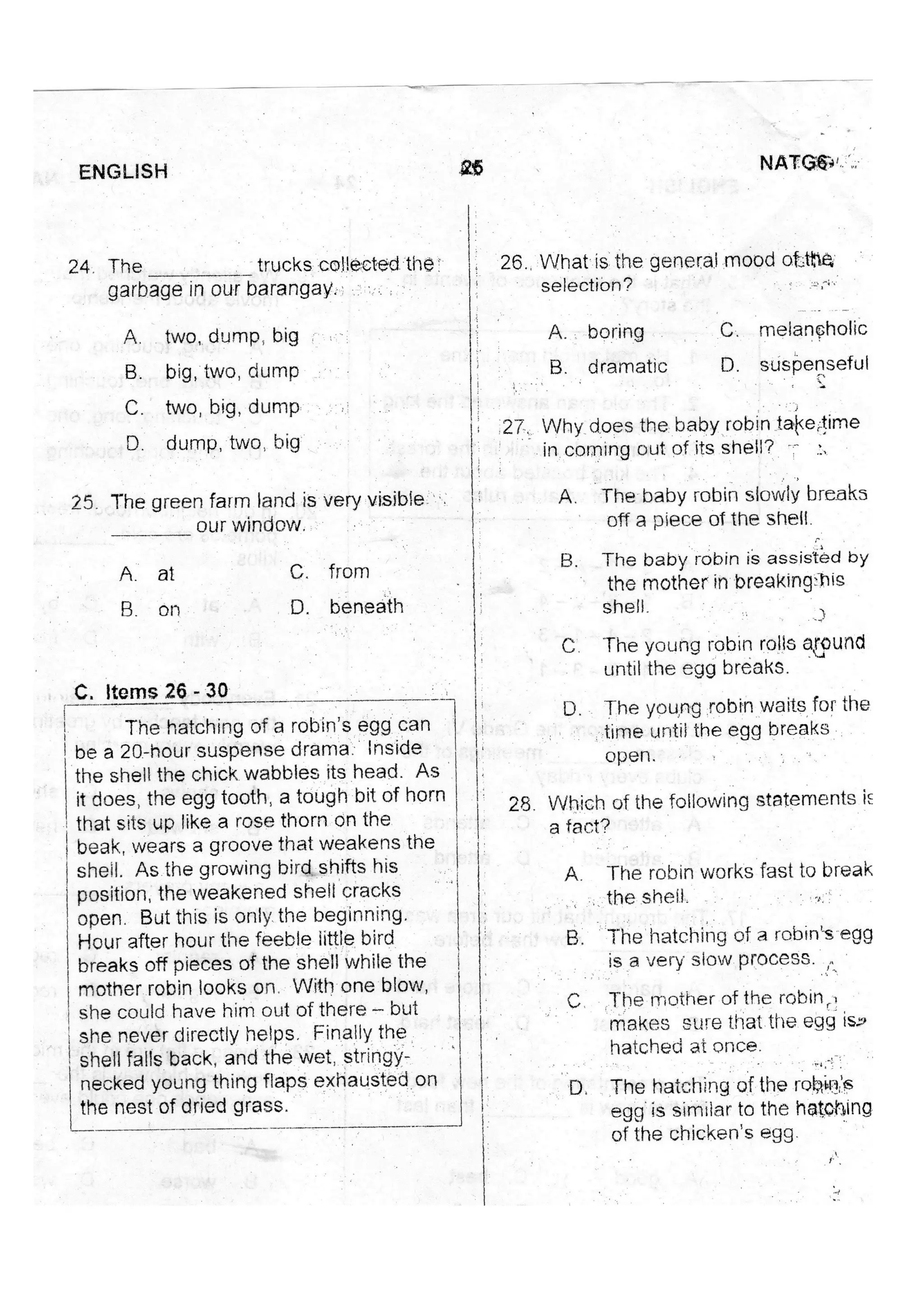 English NAT 6- 2012 | PDF