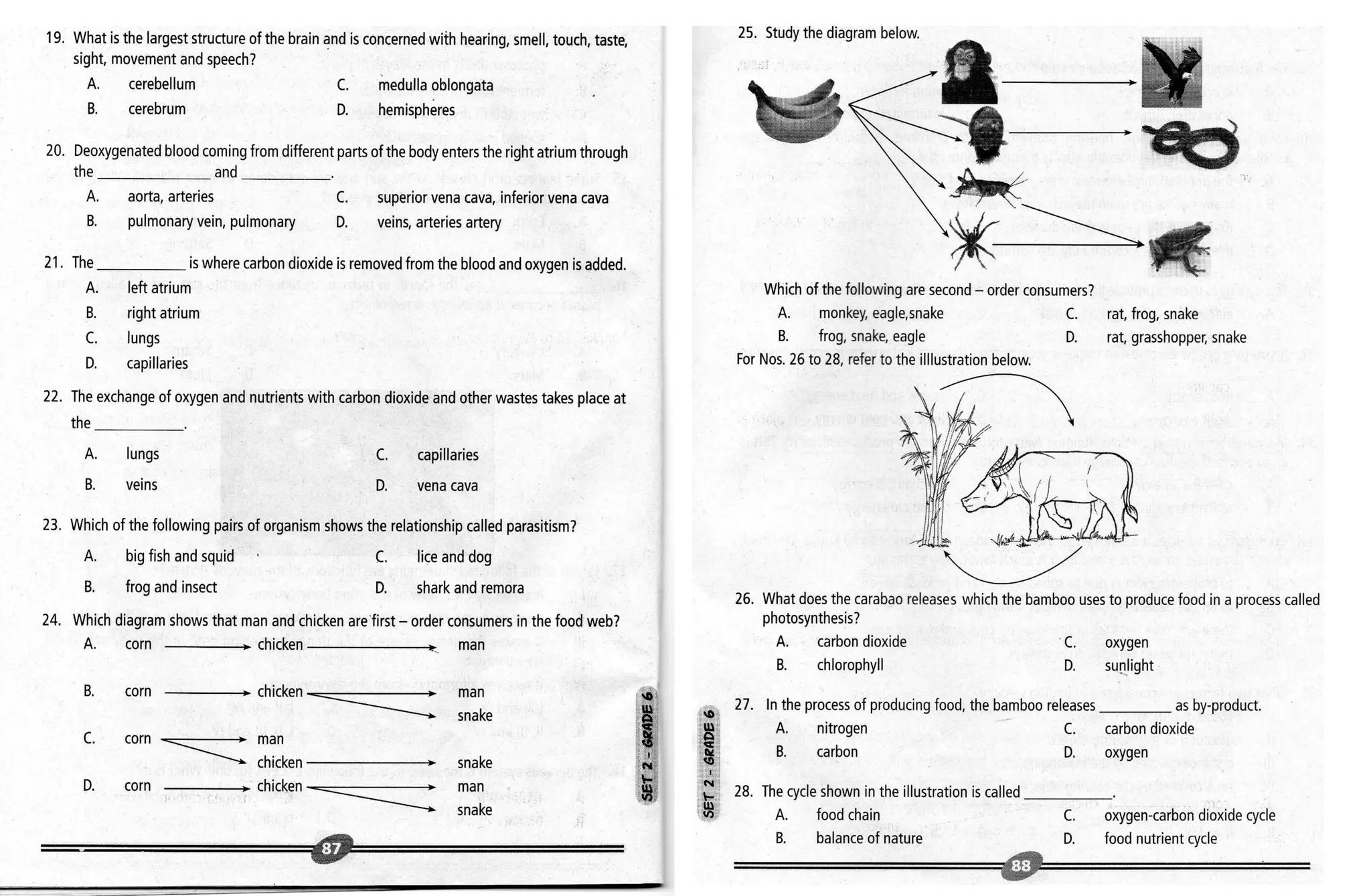 NAT 6 SCIENCE REVIEWER 2024 .pdf