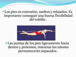 Natación patada movimiento descendente | PPTX