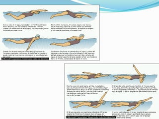 NATACIÓN | PPT