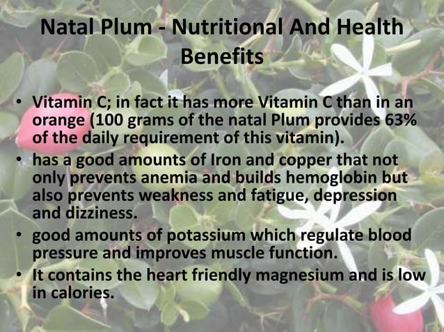 Natal plum | PPT