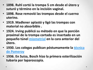 Natalia arango y trompas | PPTX