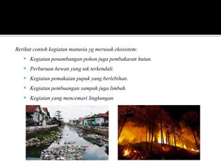 Pergeseran Ekosistem dan Isu isu lingkungan | PPTX