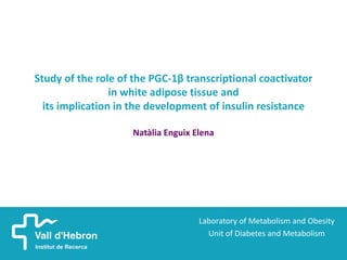 Estudi de la funció del coactivador transcripcional PGC-1β en el teixit ...