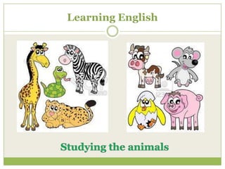 Learning English | PPTX