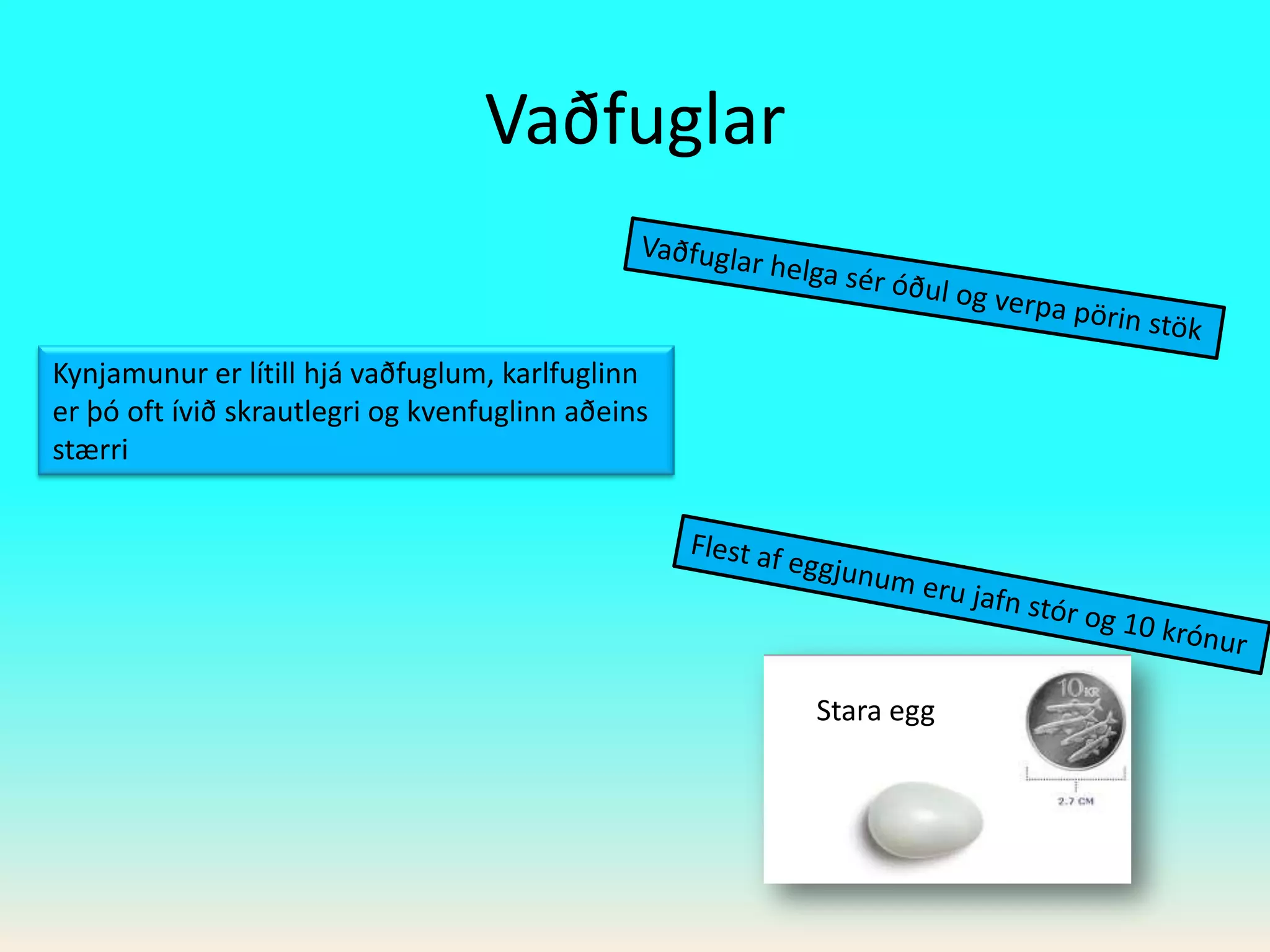 Natalia fuglar | PPTX