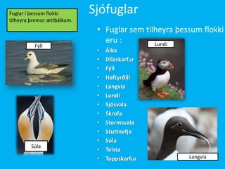Natalia fuglar | PPTX