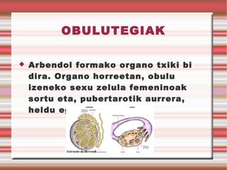 Natalia ugalketa aparatua | ODP
