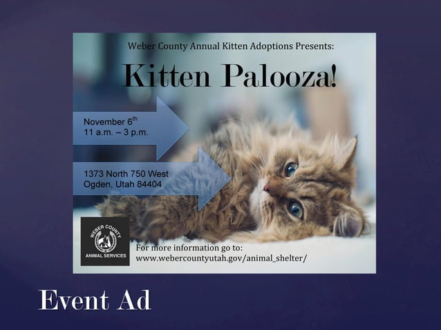 13A Final Portfolio | PPT