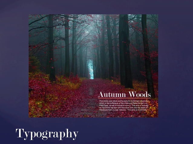 13A Final Portfolio | PPT