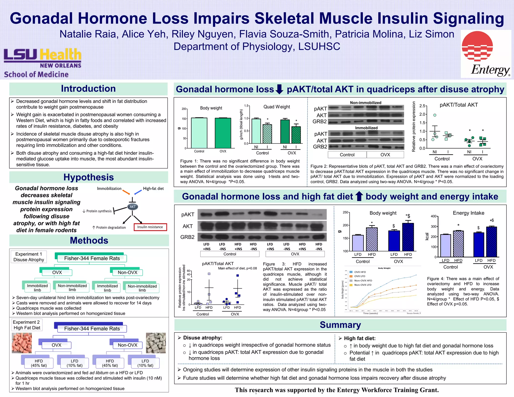 LSUHSC Research Internship Poster | PPT