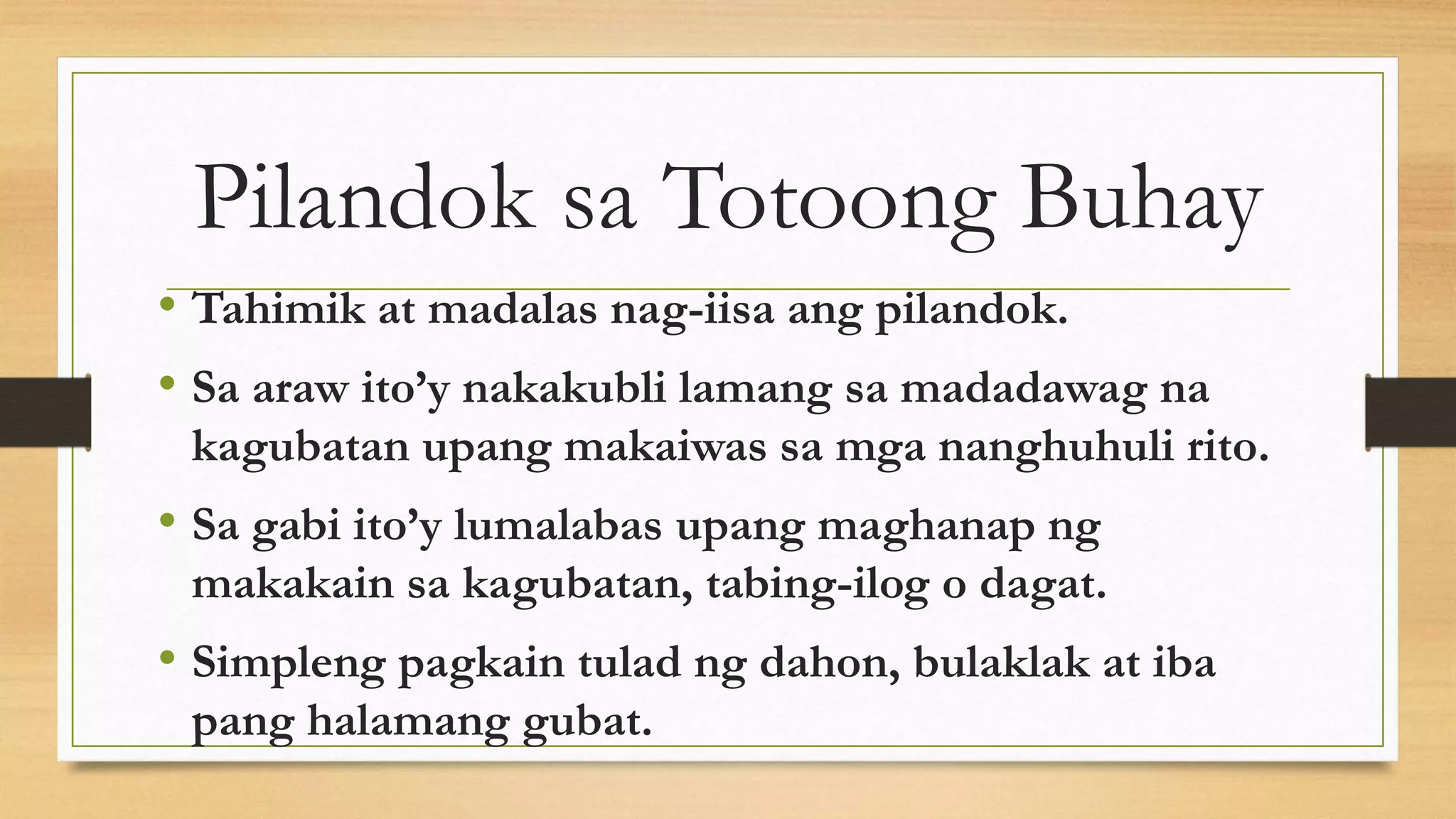 Natalo rin si pilandok | PPTX