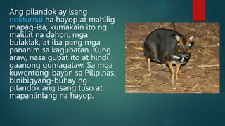 NATALO RIN SI PILANDOK.pptx