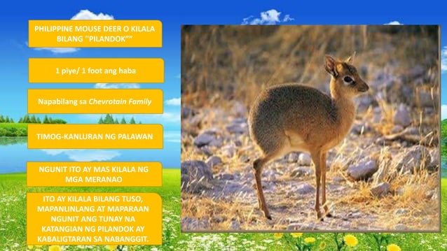 NATALO RIN SI PILANDOK PPT.pptx